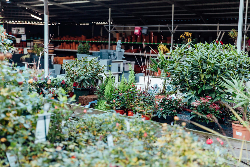 Garten – Baucenter Geukes